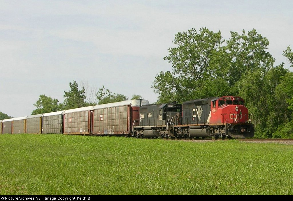 CN 5294